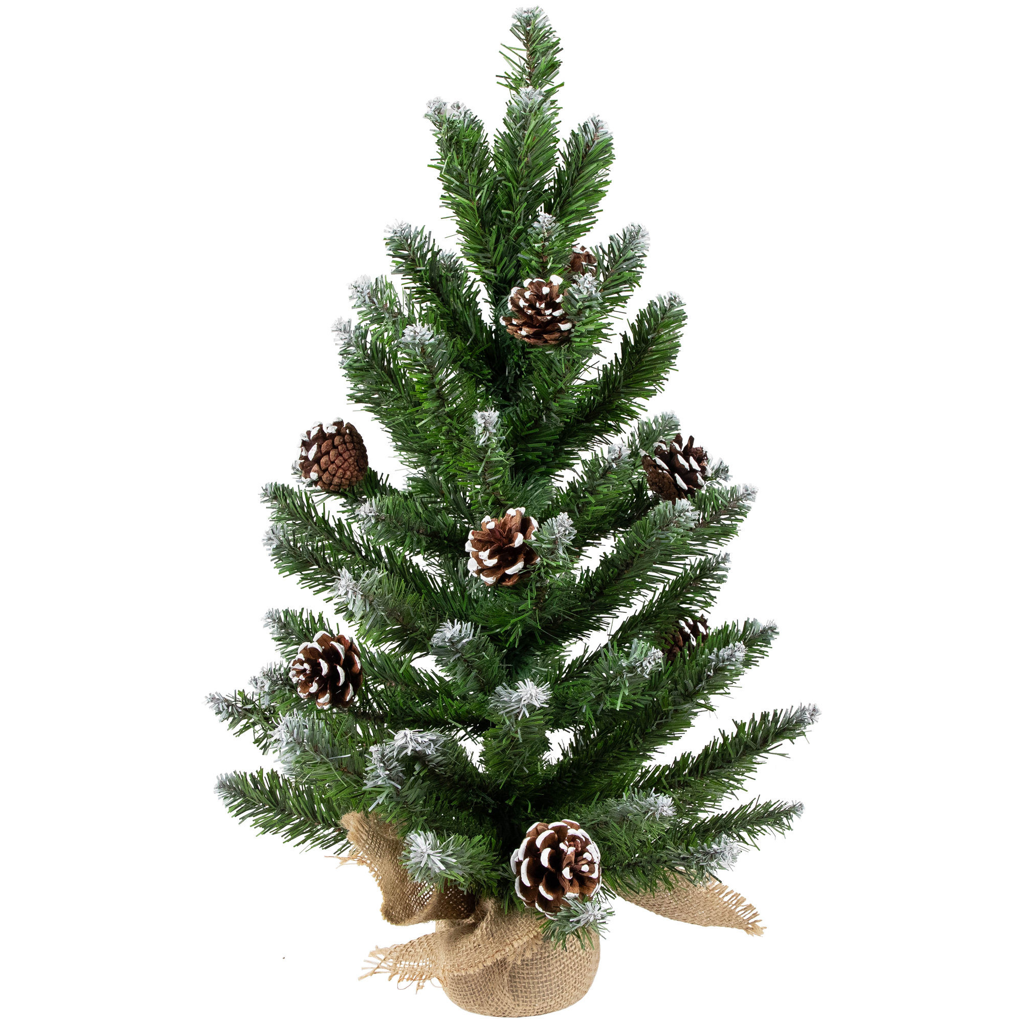 Northlight Seasonal 24" Frosted Norway Pine with Pine Cones Medium Artificial Christmas Tree ...